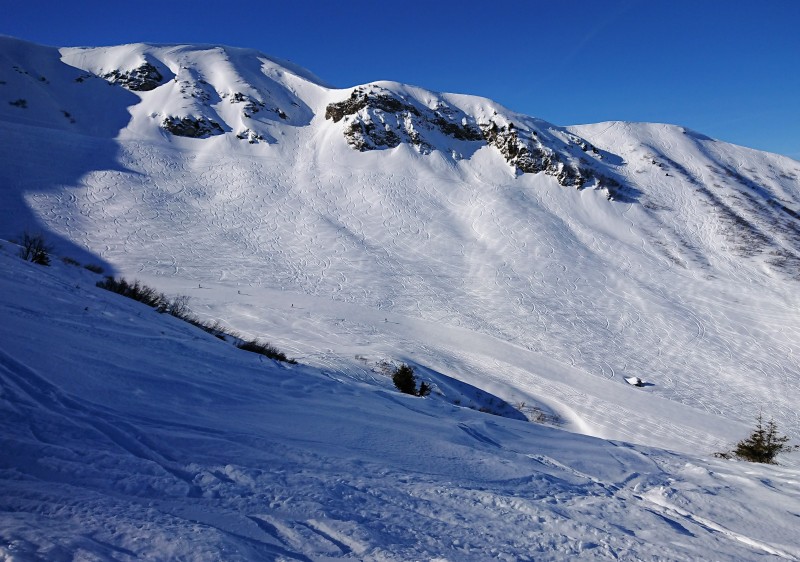Champoussin Ski & Snowboard Lessons & Guiding | Ski Instructors & Guides