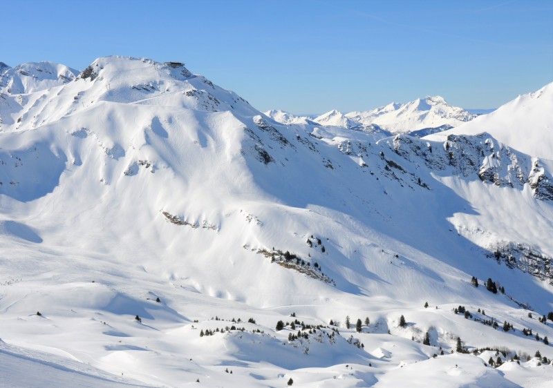 Champoussin Ski & Snowboard Lessons & Guiding | Ski Instructors & Guides