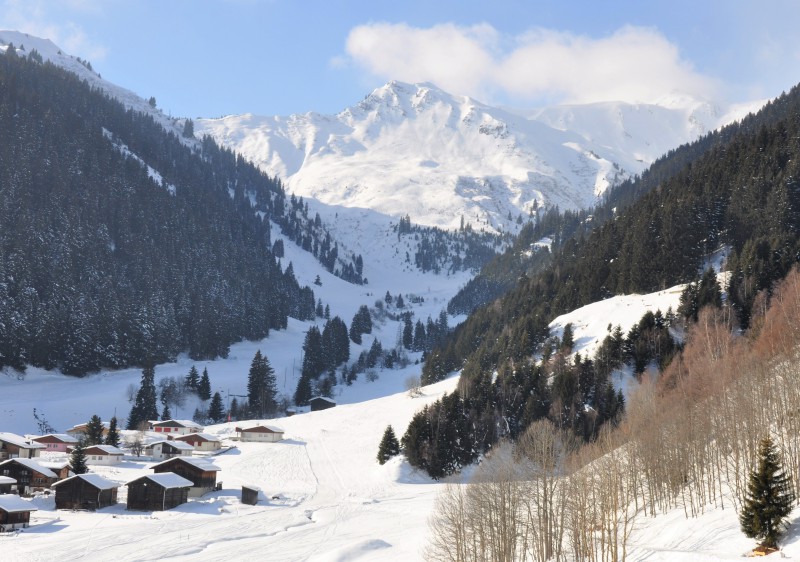 Disentis Ski Resort Info Guide | Disentis 3000 Switzerland Review