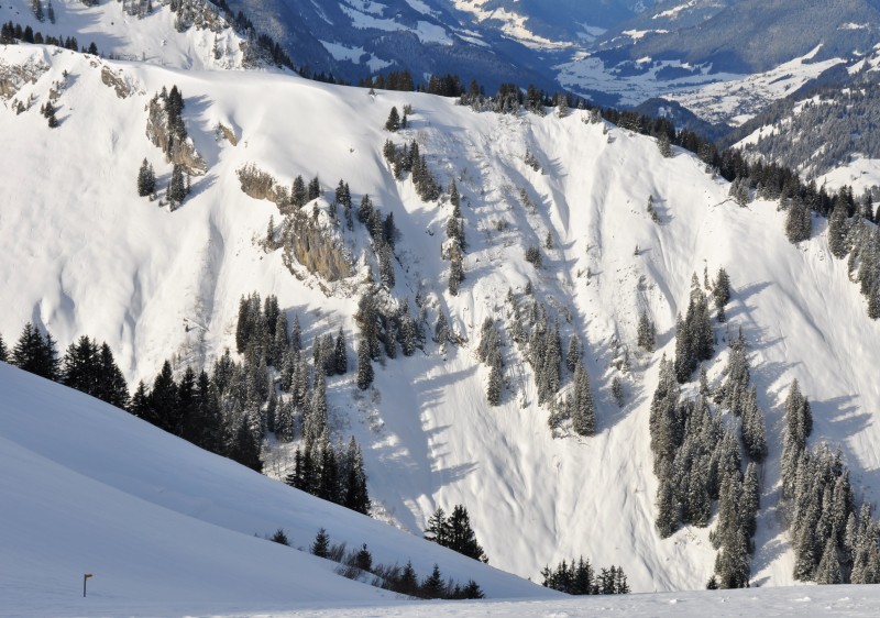 Gstaad Ski Lessons & Guiding | Ski Instructors & Mountain Guides in Gstaad