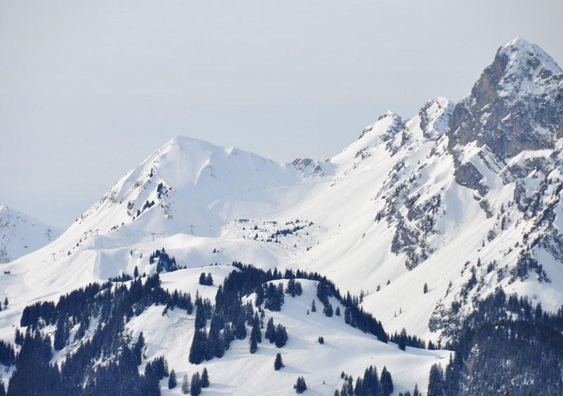 Gstaad Ski Lessons & Guiding | Ski Instructors & Mountain Guides in Gstaad