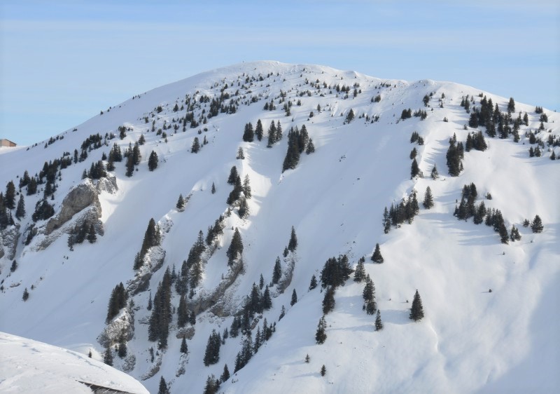 Gstaad Ski Lessons & Guiding | Ski Instructors & Mountain Guides in Gstaad