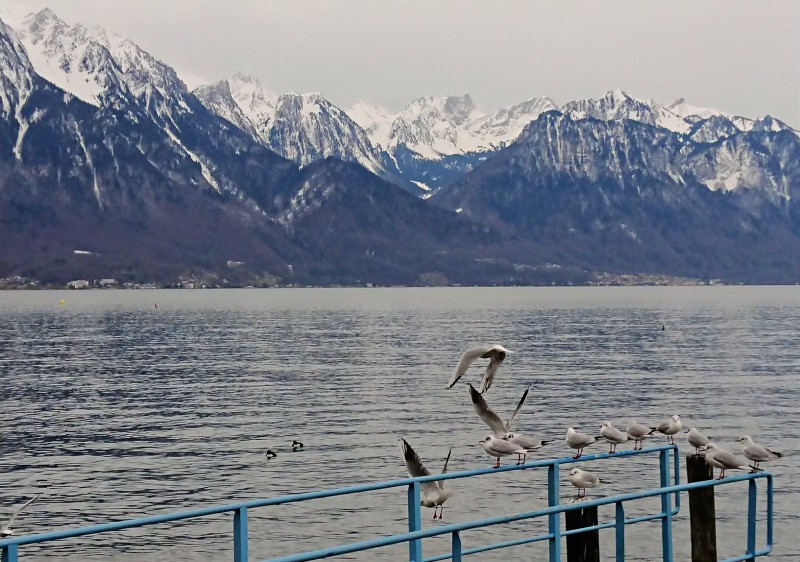 Montreux City Info Guide | Montreux Switzerland Review