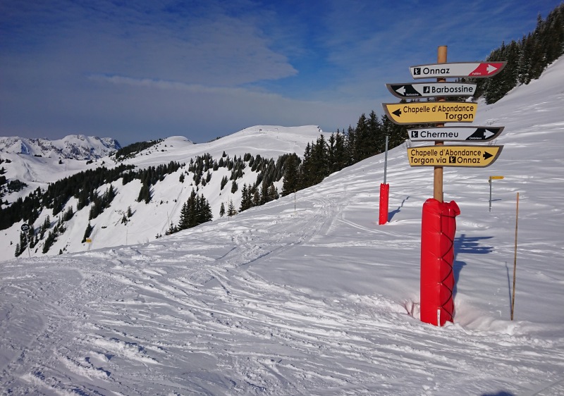 Morgins Ski & Snowboard Lessons | Morgins Ski Instructors & Guides