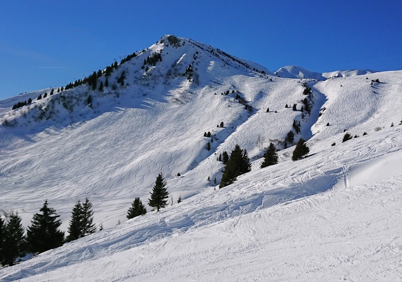 Morgins Ski & Snowboard Lessons | Morgins Ski Instructors & Guides