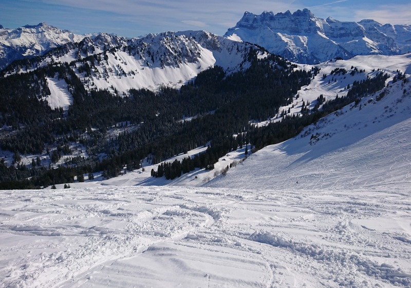 Morgins Ski & Snowboard Lessons | Morgins Ski Instructors & Guides