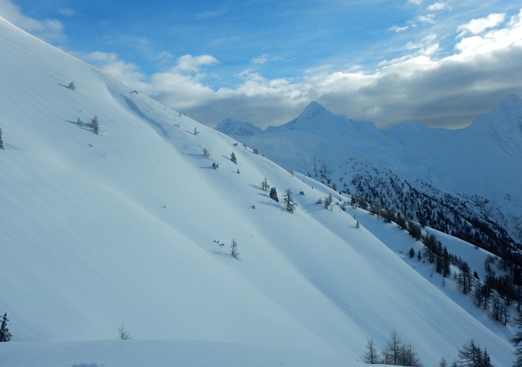 Rosswald Ski Resort Info Guide | Rosswald Switzerland Review