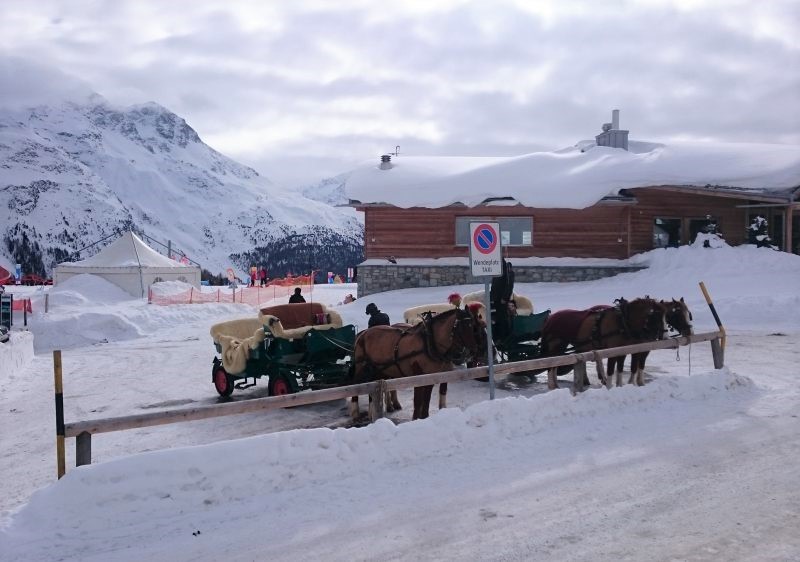 St Moritz Activities | Engadin Valley Winter Trails | Scenic Flights ...