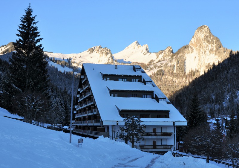 Torgon Ski Resort Info Guide |Torgon, Espace Liberté, Switzerland Review