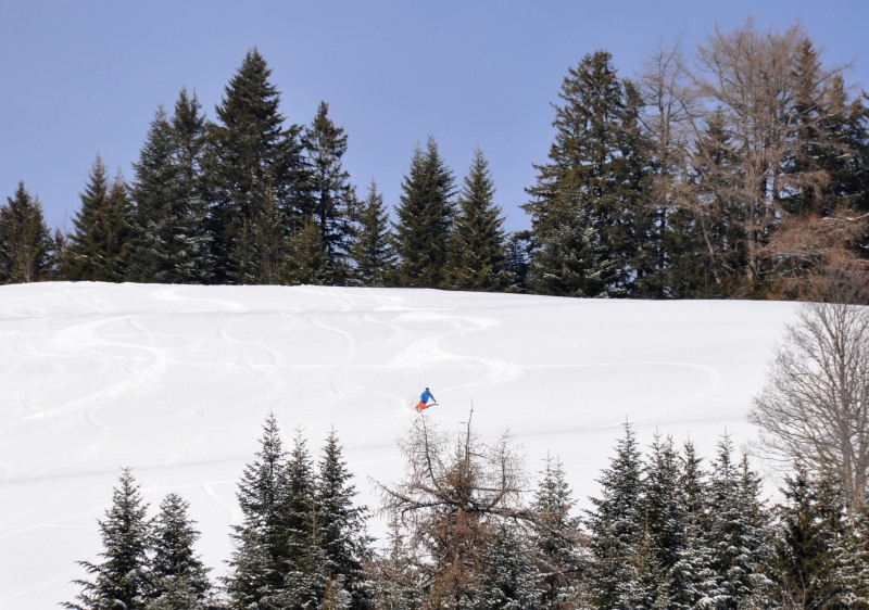 Torgon Ski Resort Info Guide |Torgon, Espace Liberté, Switzerland Review