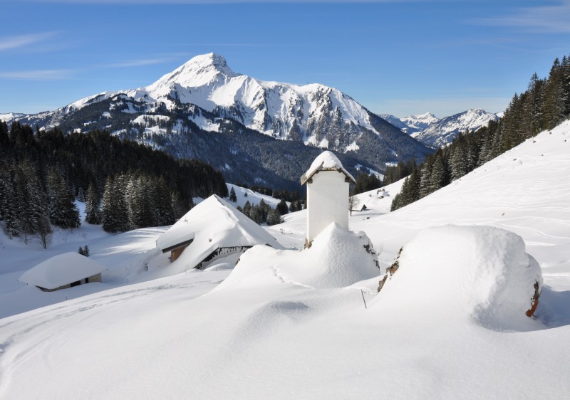 Torgon Ski Resort Info Guide |Torgon, Espace Liberté, Switzerland Review