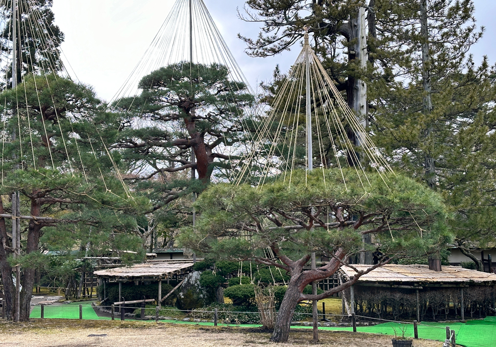 Aizu Activities | Aizuwakamatsu Castle