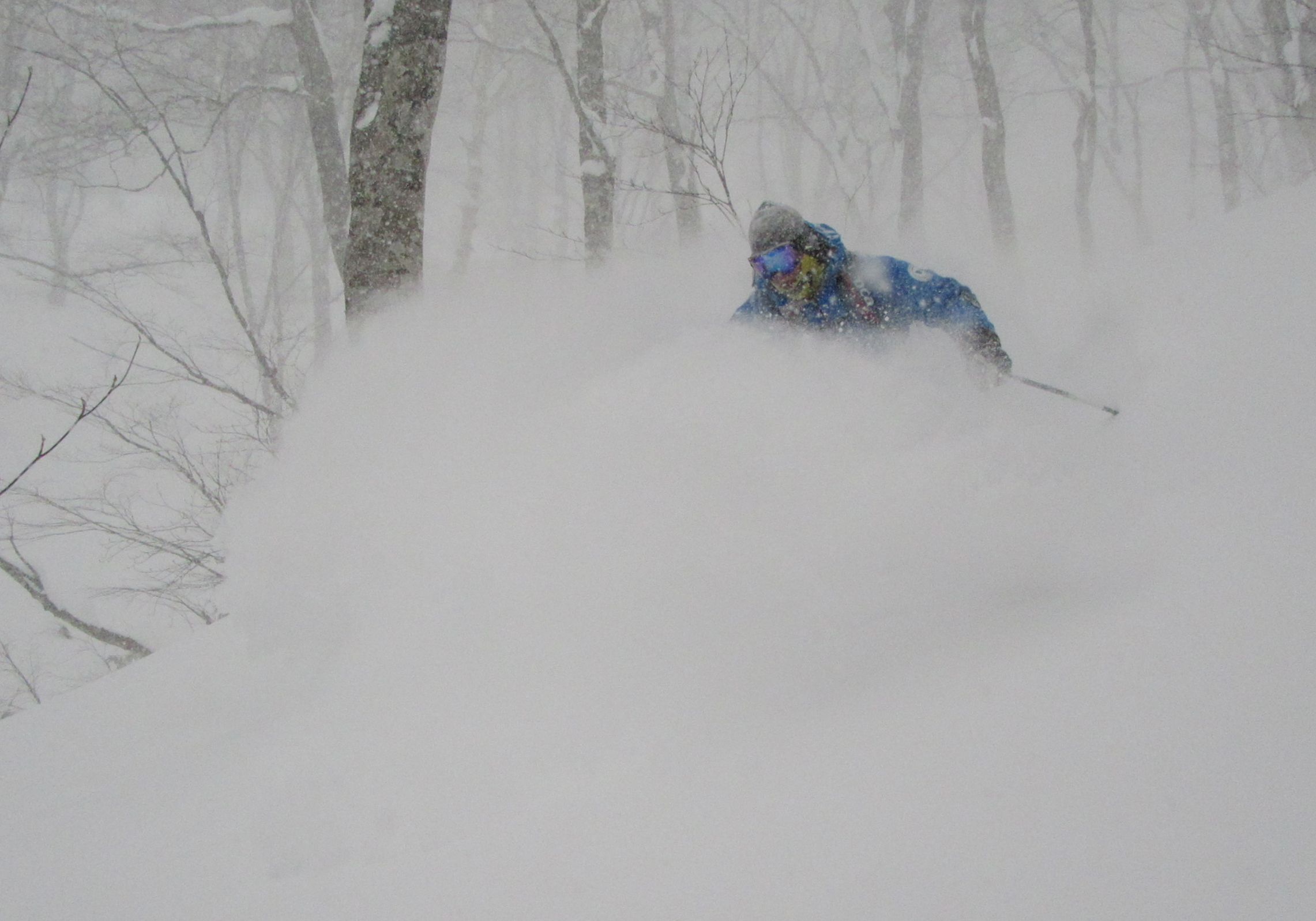 Akakura Ski Resort | Akakura Kanko Skiing