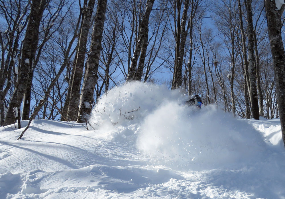 Akakura Ski Resort | Akakura Kanko Skiing