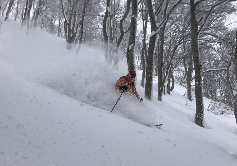 Aomori Spring Ski Resort Japan Review