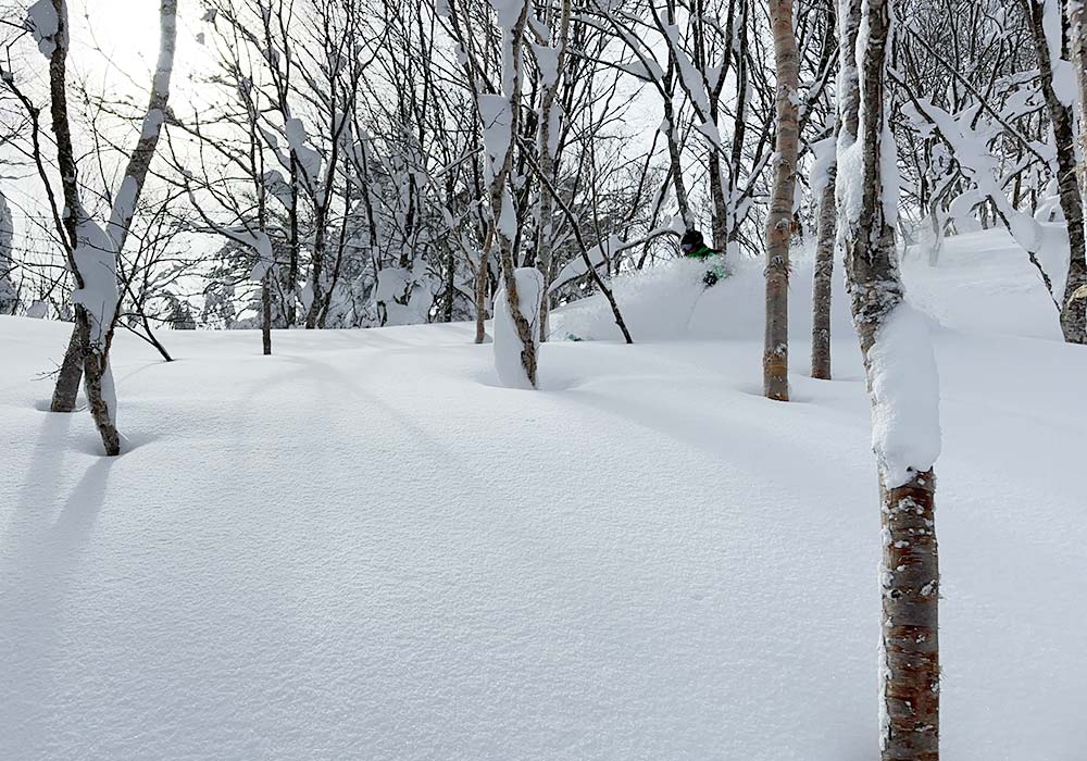 Appi Kogen Ski Resort| Appi Japan Skiing Ratings