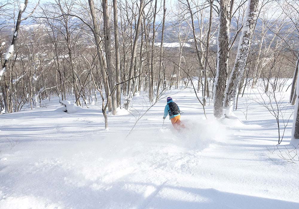 Appi Kogen Ski Resort| Appi Japan Skiing Ratings