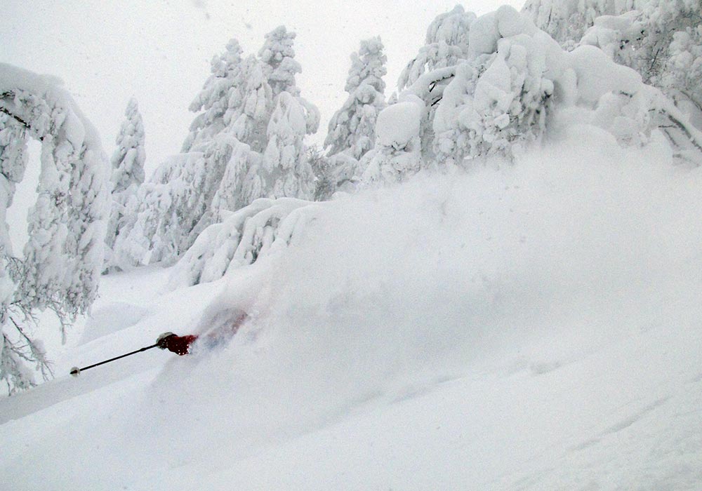 Appi Ski Resort Japan Reviews