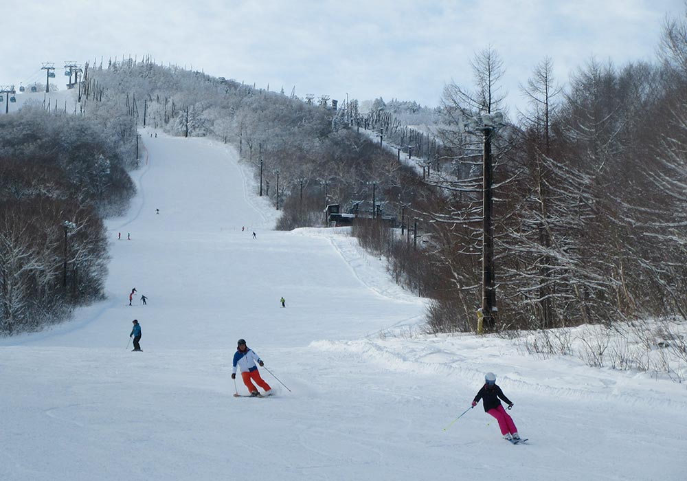 Appi Ski Resort Japan Reviews