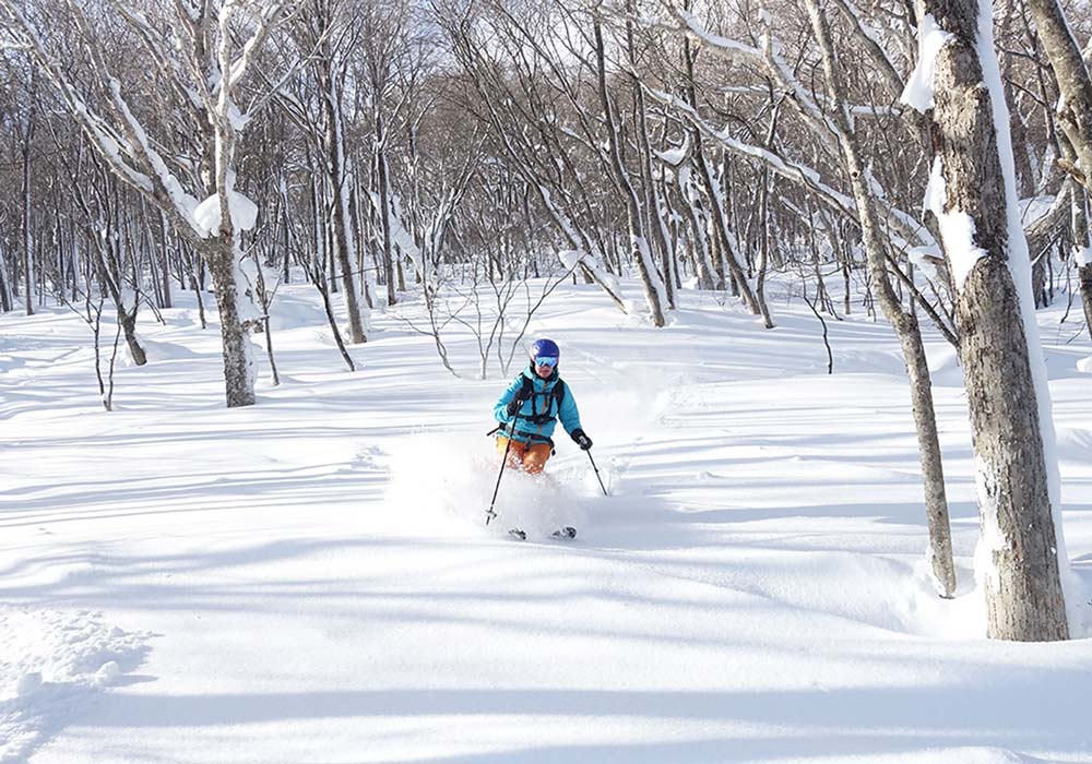 Appi Ski Resort Japan Reviews