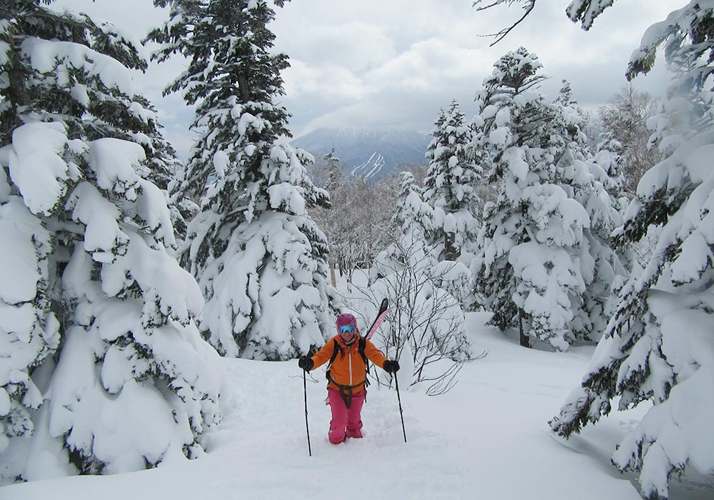 Appi Ski Resort Japan Reviews