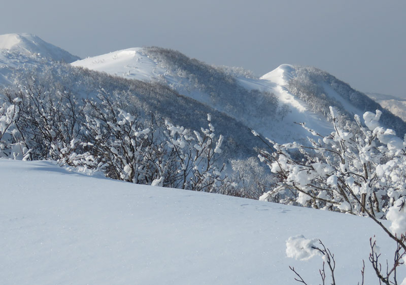 Geto Kogen Ski Resort | Getou Kogen Japan Review