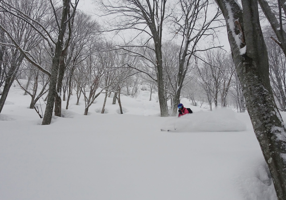 Muikamachi Hakkaisan Ski Resort | Minamiuonuma Japan