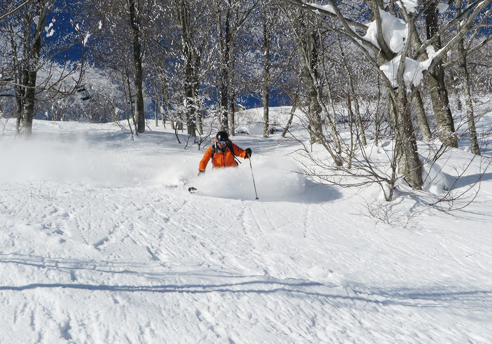 Hakuba Cortina Ski Resort | Cortina Japan Review