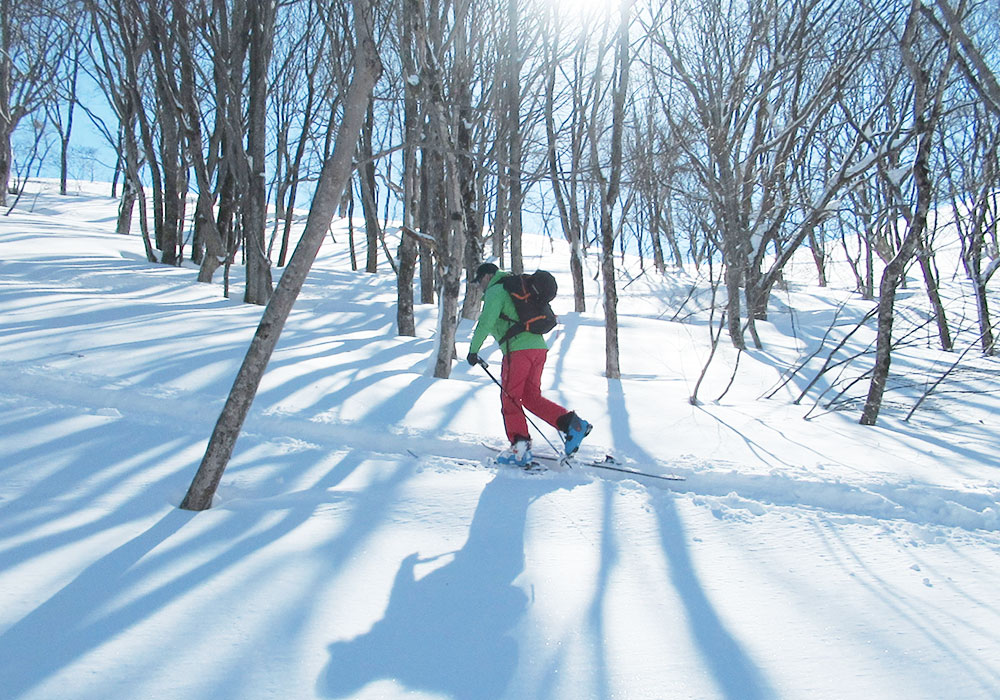 Hakuba Cortina Ski Resort | Cortina Japan Review