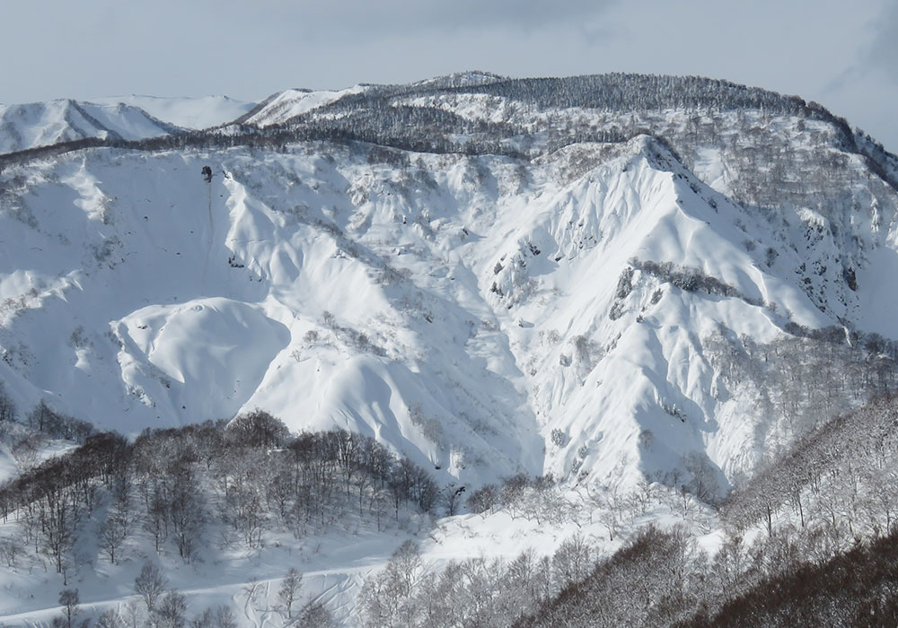 Hakuba Cortina Ski Resort | Cortina Japan Review