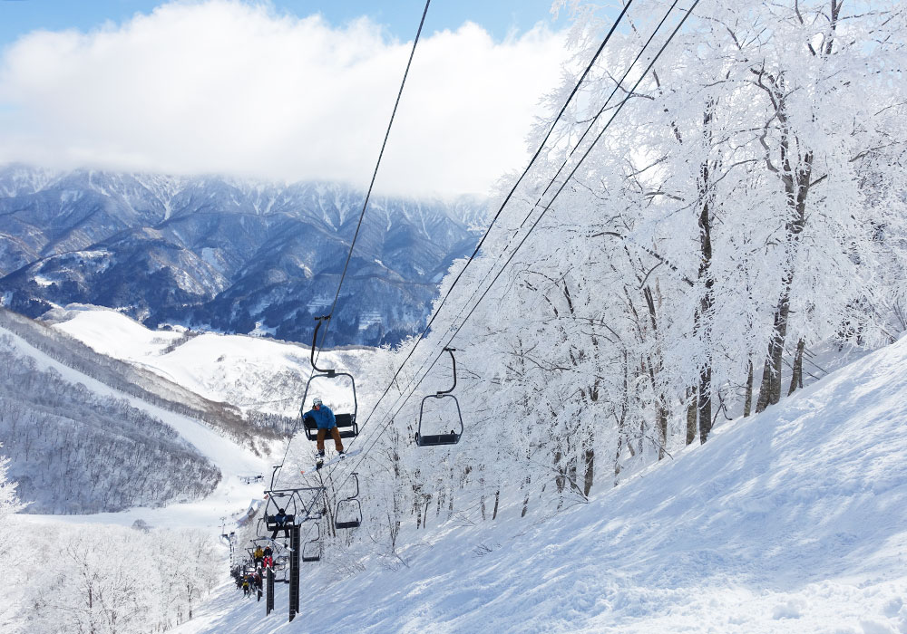 Ski Cortina Hakuba | Snow, Terrain Ratings