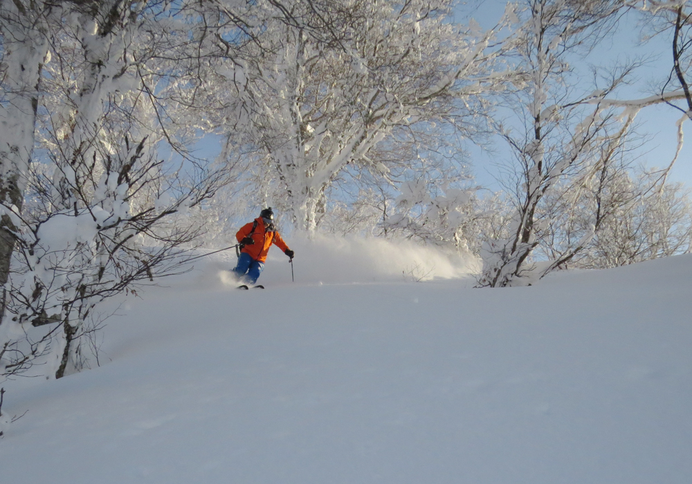 Best Honshu Ski Resorts Japan