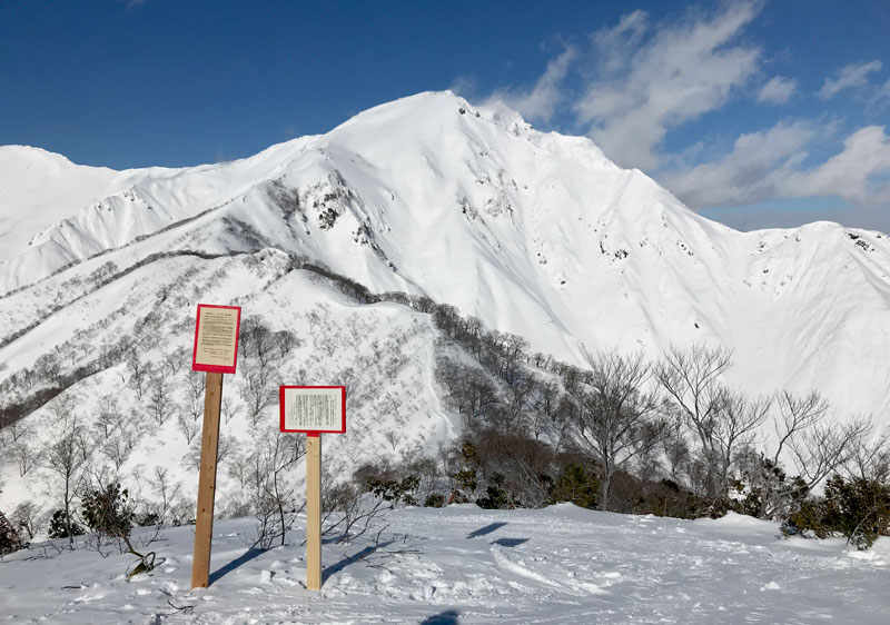 Honshu Skiing | Honshu Snow vs Hokkaido