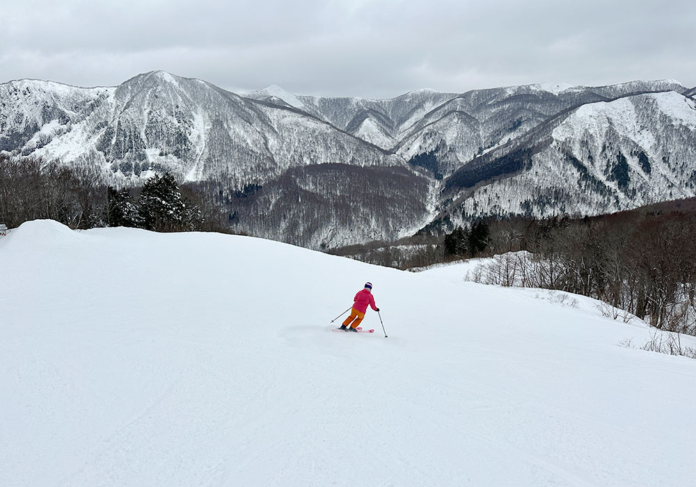 Jangle Jungle Ski Resort Yamagata