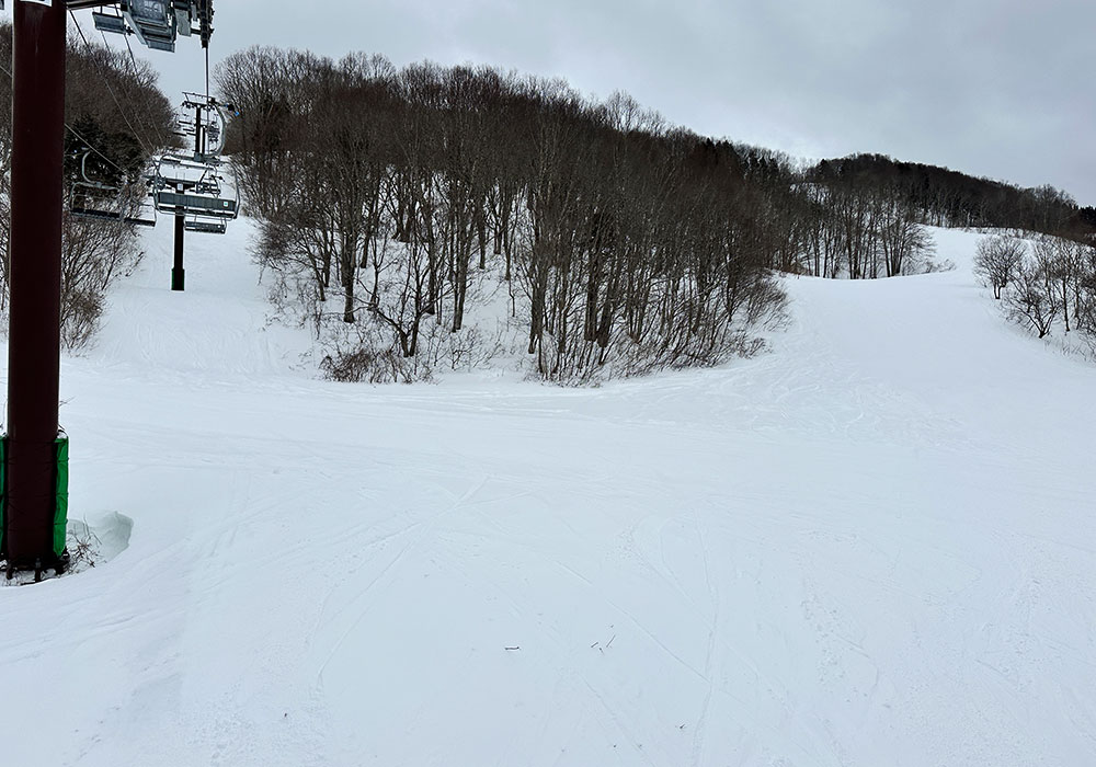 Jangle Jungle Ski Resort Yamagata