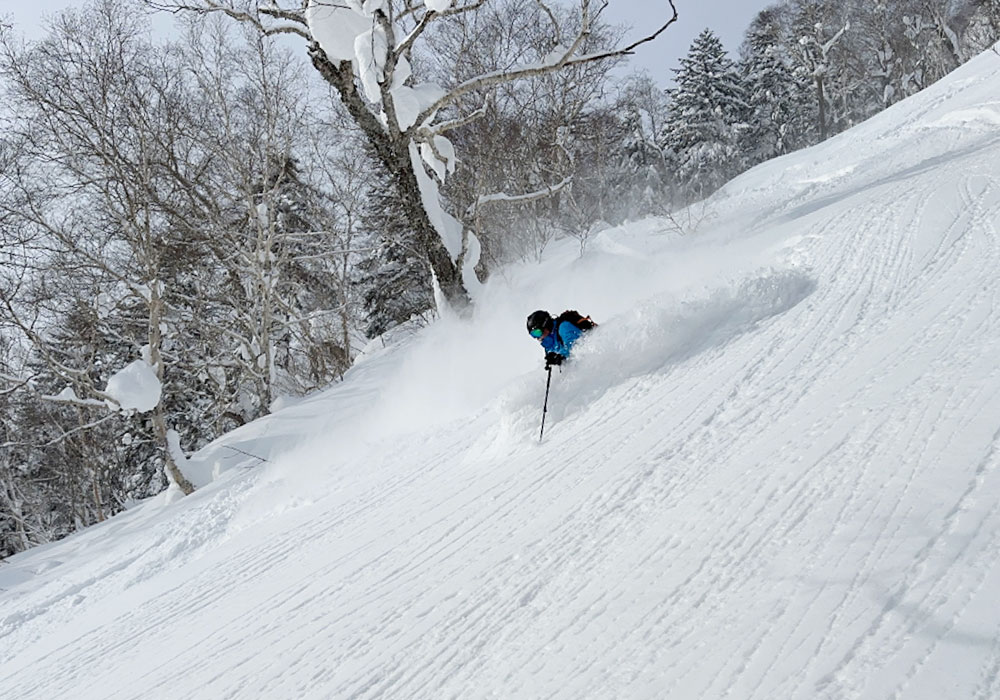 Japan Powder Skiing | Best Japan Ski Areas for Japow