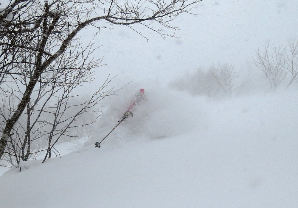 Japan Powder Skiing | Best Japan Ski Areas for Japow