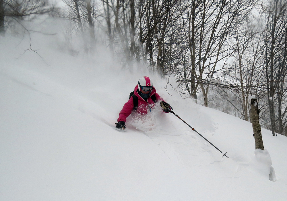 Japan Powder Skiing | Best Japan Ski Areas for Japow