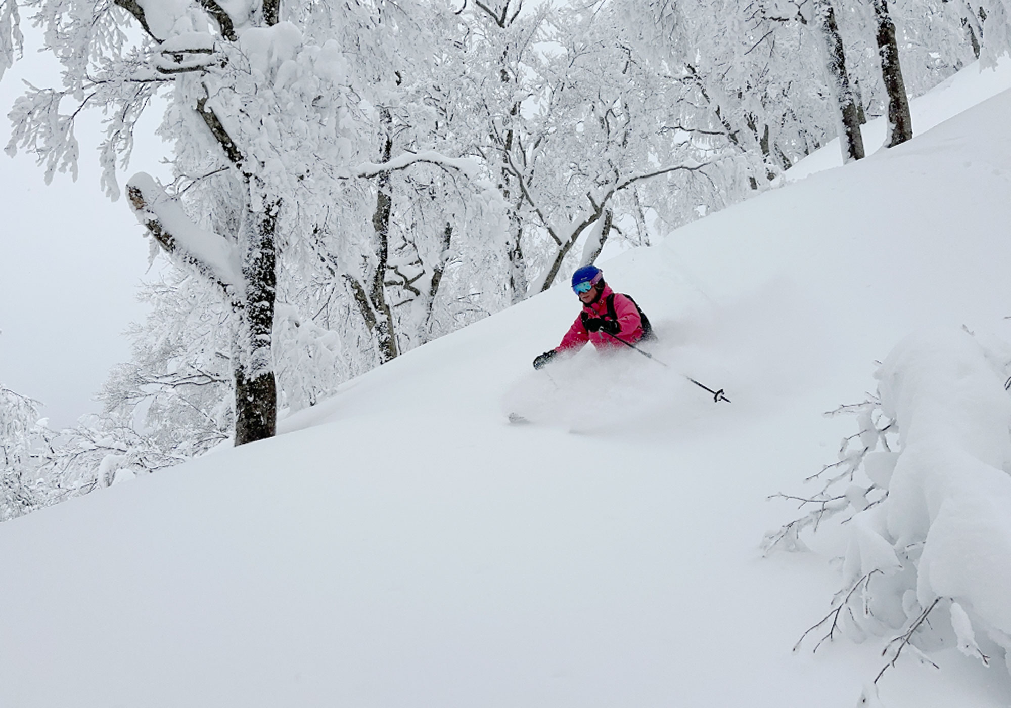 Japan Powder Skiing | Best Japan Ski Areas for Japow