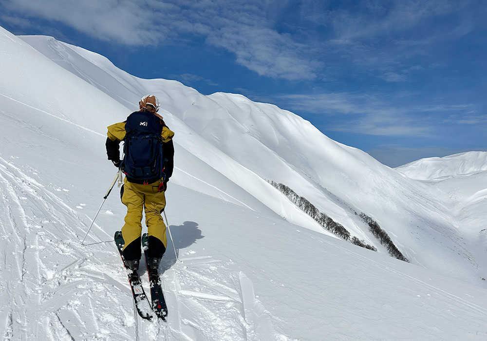Japan Powder Skiing | Best Japan Ski Areas for Japow