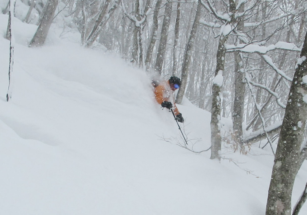 Japan Powder Skiing | Best Japan Ski Areas for Japow
