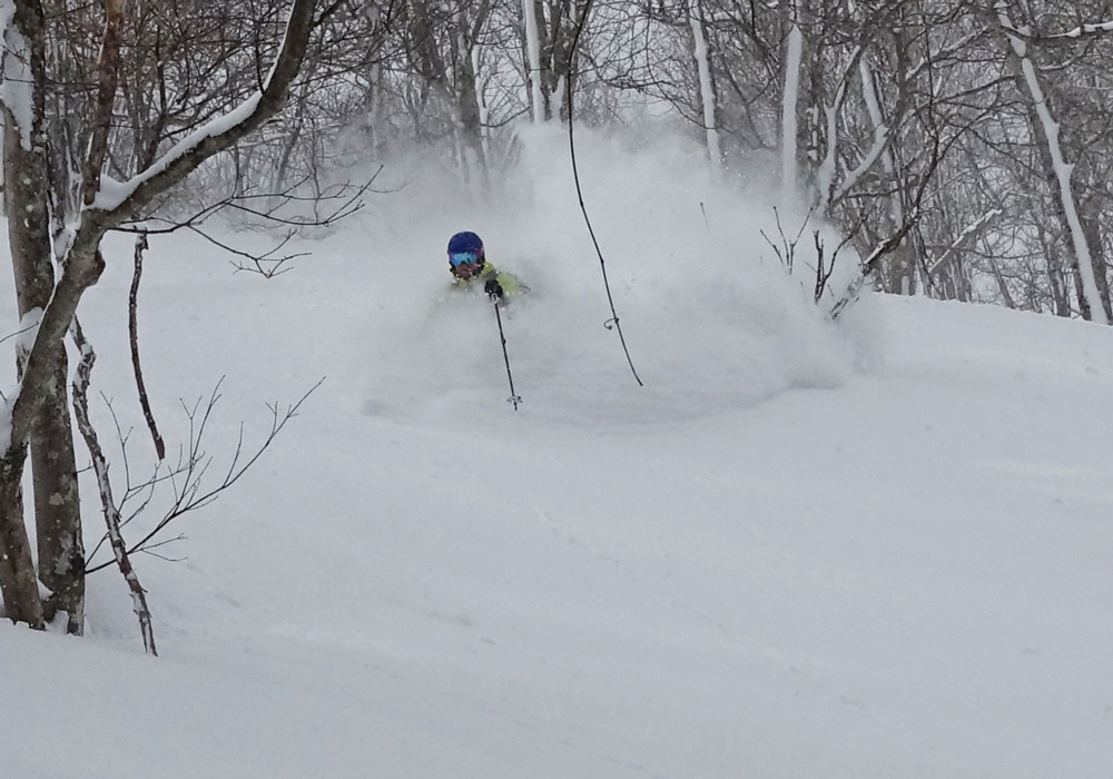 Japan Powder Skiing | Best Japan Ski Areas for Japow