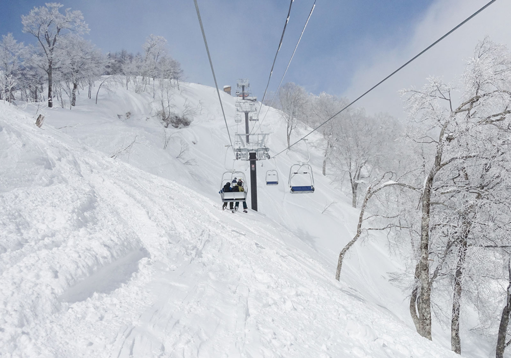 Where to Ski in Japan | Japan Snowboarding