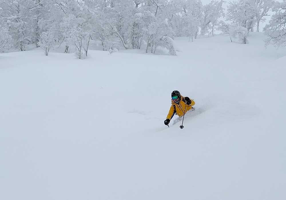 Kamui Ski Links Japan Review