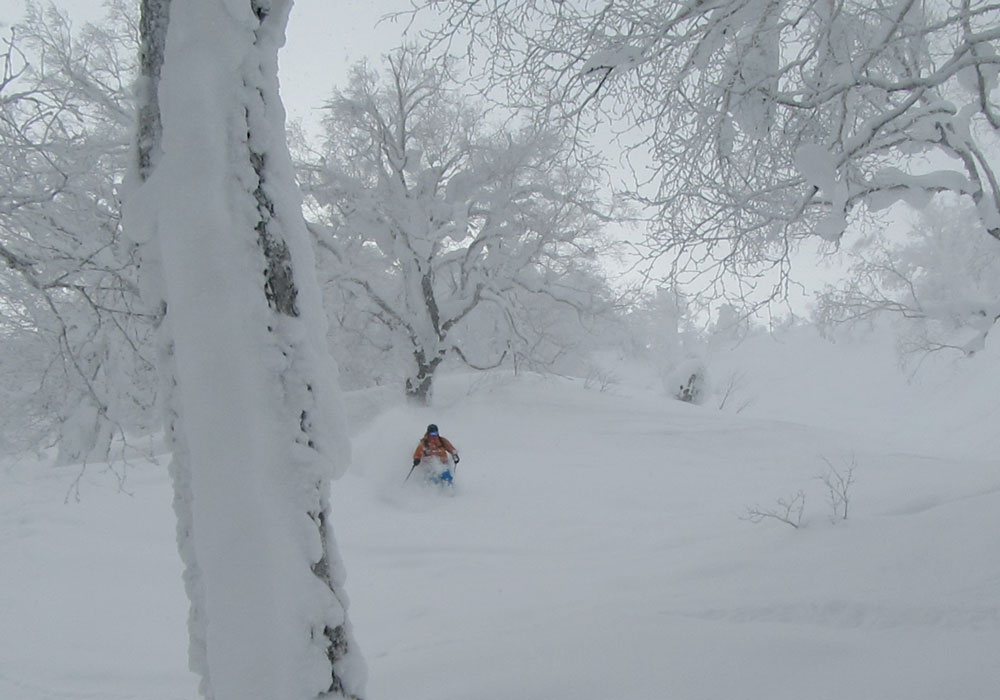 Kiroro Hokkaido Skiing Ratings | Kiroro Snow World