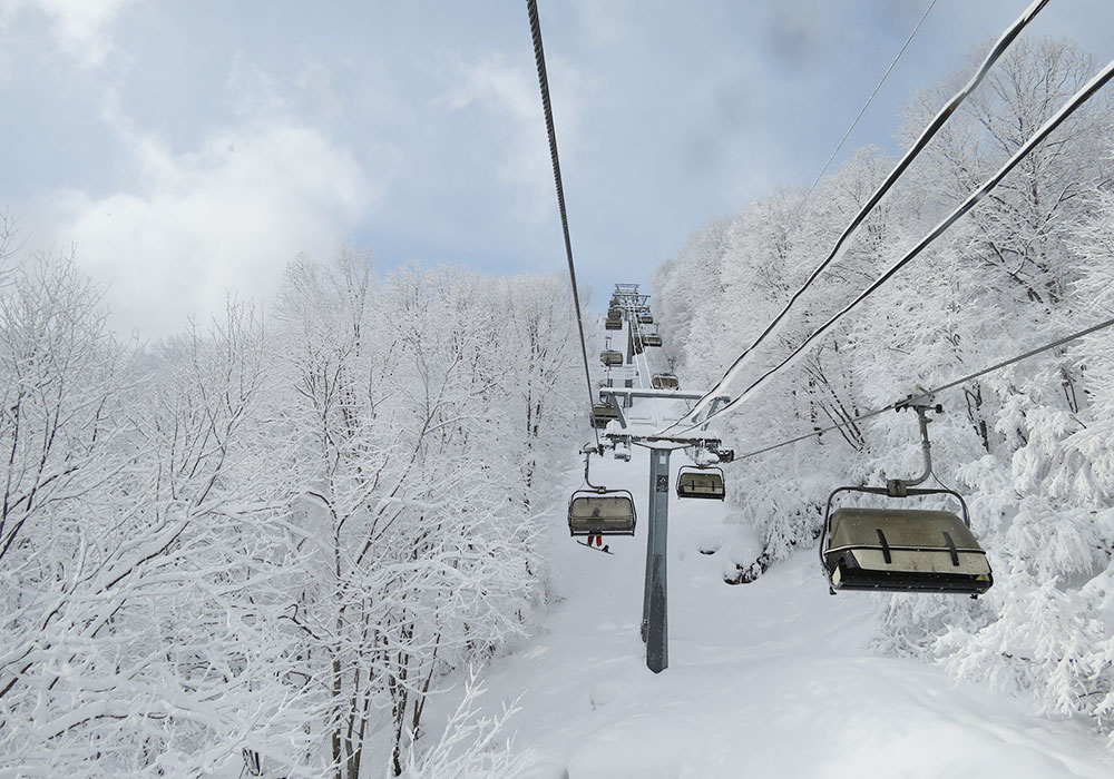 Madarao Kogen Ski Resort | Madarao Snow, Terrain Ratings