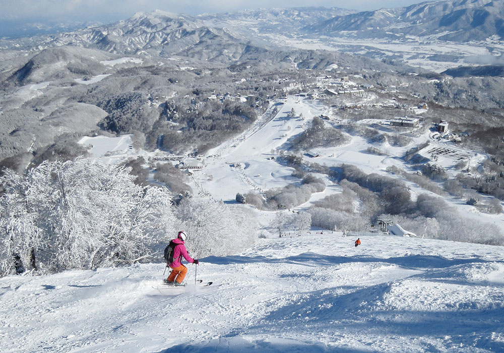 Madarao Kogen Ski Resort | Madarao Snow, Terrain Ratings