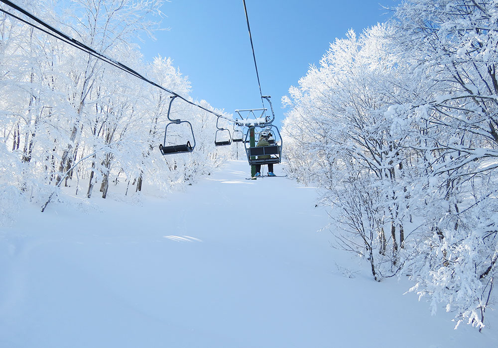 Madarao Kogen Ski Resort | Madarao Snow, Terrain Ratings