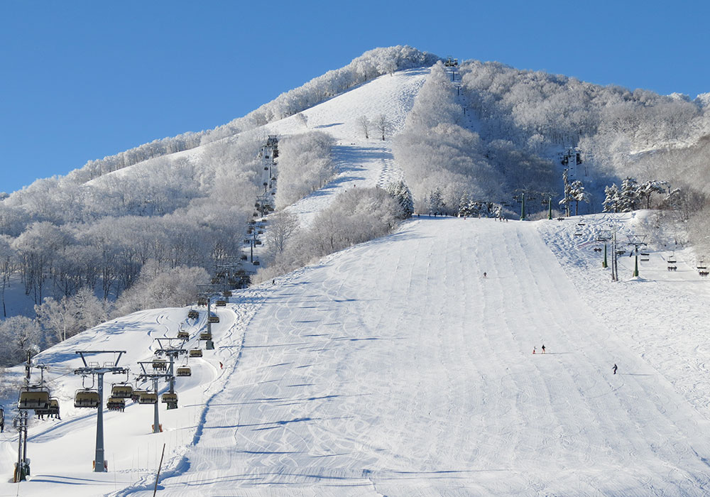 Madarao Kogen Ski Resort | Madarao Snow, Terrain Ratings