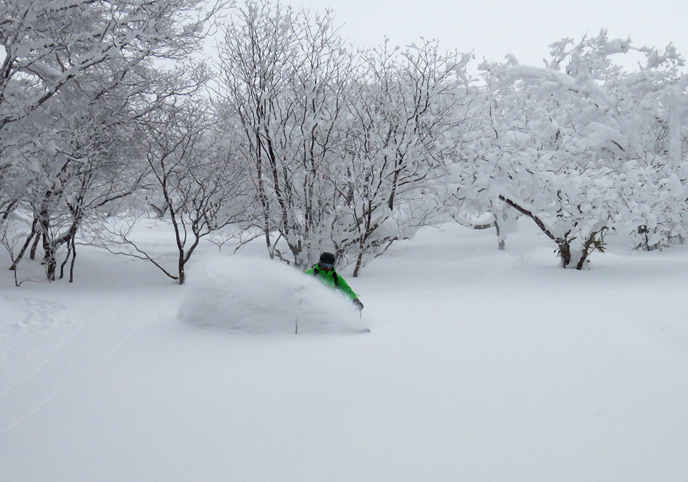 Minowa Snow Resort Japan